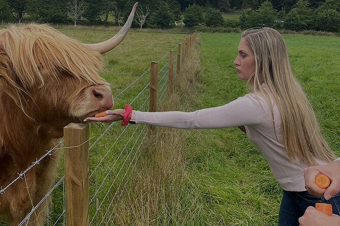 Loch Ness and Outlander Sites Tour From Inverness - Itinerary Highlights