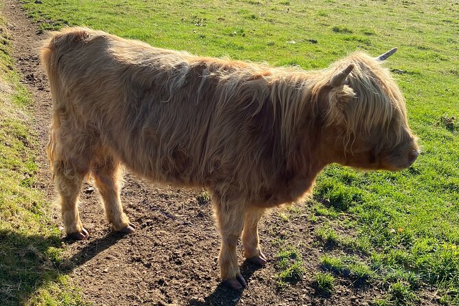 Loch Ness, Clava Cairns, Culloden, COO,S, DRAMS & Outlander Sites - The Ancient Wonders of Clava Cairns