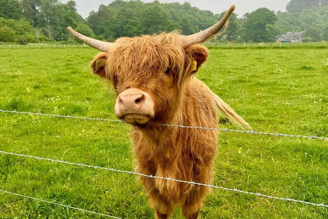 Loch Ness, Culloden, Clava and Whisky/Gin Tour From Inverness. - Meeting and Pickup Information