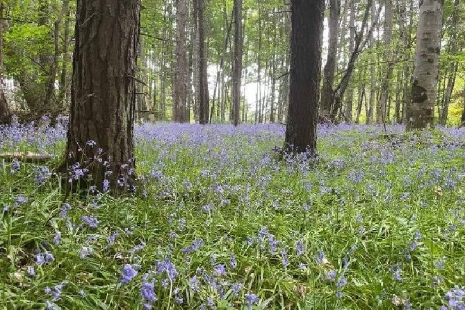 Loch Ness, Culloden, Clava and Whisky/Gin Tour From Inverness. - Exploring Inverness and the Highlands