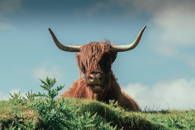 Loch Ness, Glen Coe & The Highlands Day Tour from Edinburgh - Timing and Pacing