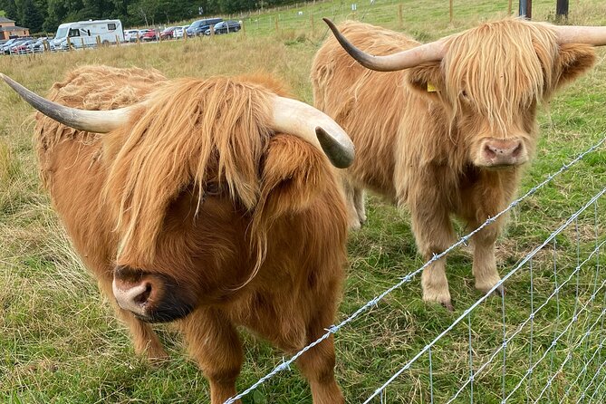 loch Ness, Inverness and Outlander Sites From Invergordon Port - The Sum Up