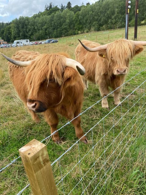 LOCH NESS, INVERNESS, CLAVA CAIRNS & MORE FROM INVERGORDON - Culloden Battlefield: The Climax of Highland History (30 minutes)