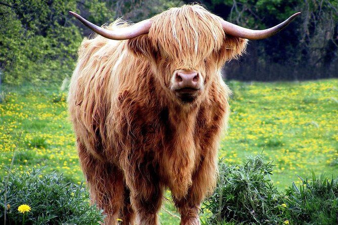 Loch Ness, Outlander and Highlands Private Chauffeur Tour From Inverness - Outlander Sites: Following the Footsteps of Claire and Jamie