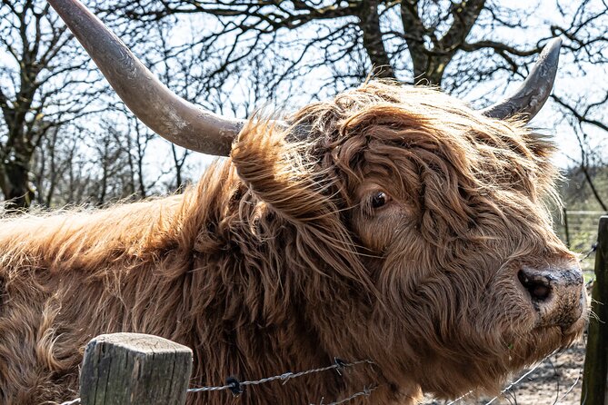 Loch Ness Private Day Tour up to 8 passengers - Final Thoughts: Who Is This Tour Best For?