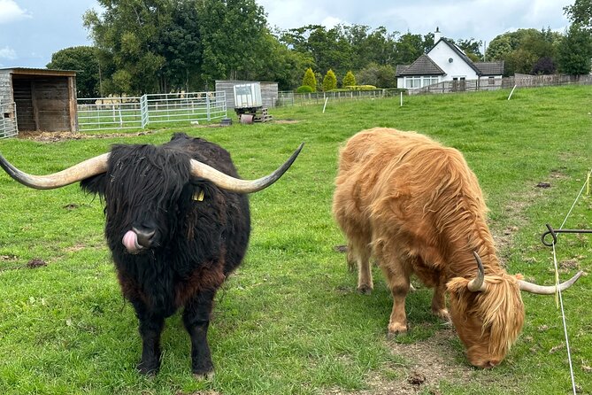 Loch Ness Tour: Day Trip to Loch Ness, Outlander Sites and More - Key Points