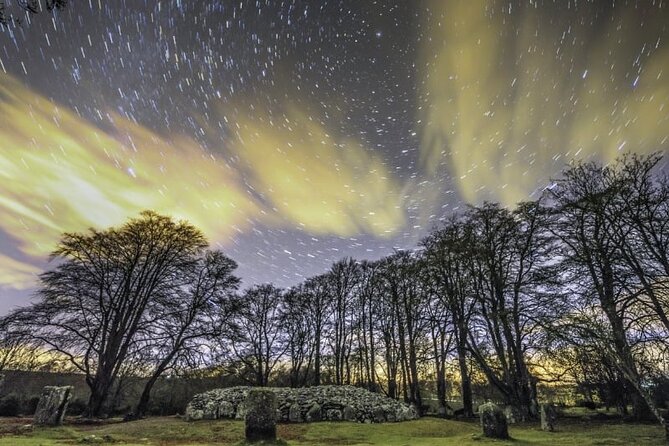 Loch Ness, Urquhart Castle & Culloden Battlefield Shore Excursion - What Travelers Say