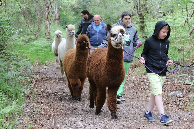 Loch Ness With Castles, Beaches, Mountains and MONSTERS - Transportation and Inclusions
