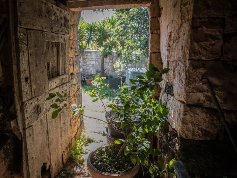 Locorotondo: Guided E-bike Tour with Olive Oil Tasting - A Closer Look at the Tour Experience