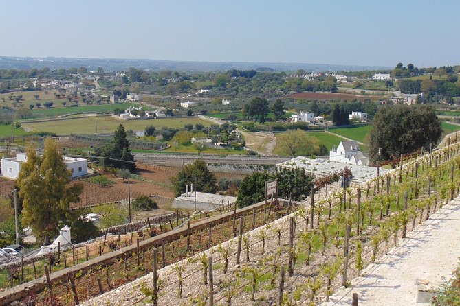 Locorotondo private tour: a charming town in the Itria Valley - Key Points