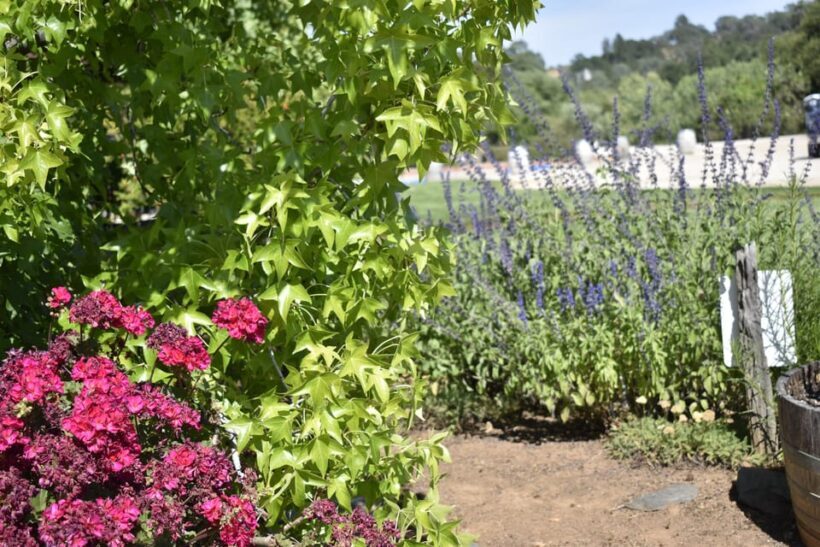Lodi: Wine Tasting Tour Private Customized 1 -14 Group - Why This Tour Offers Good Value