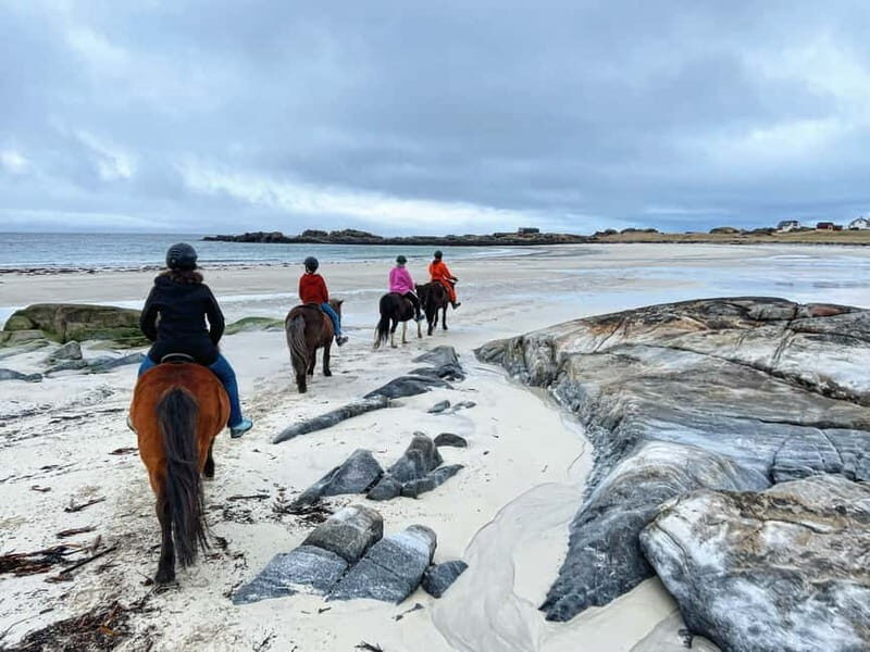 Lofoten: Guided Horse Riding Tour Over Hov and Hovsund - A Few Considerations