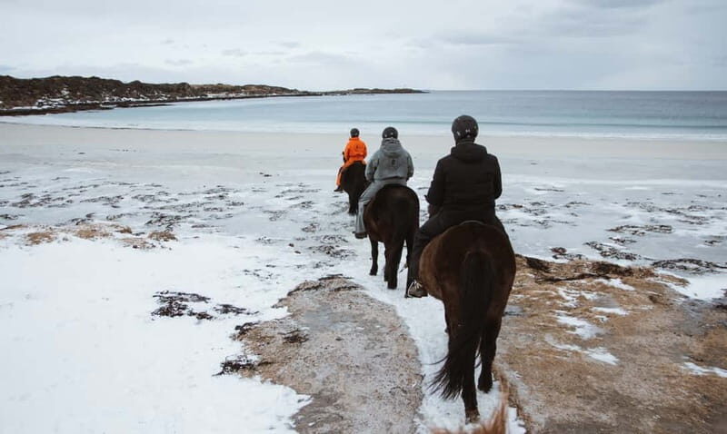 Lofoten: Guided Horse Riding Tour Over Hov and Hovsund - Summary