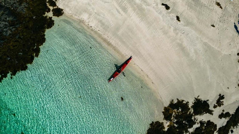 Lofoten: Guided Kayak Experience - Key Points