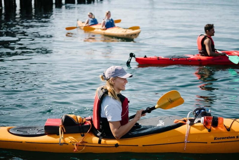 Lofoten: Guided Kayak Experience - An Overview of the Experience