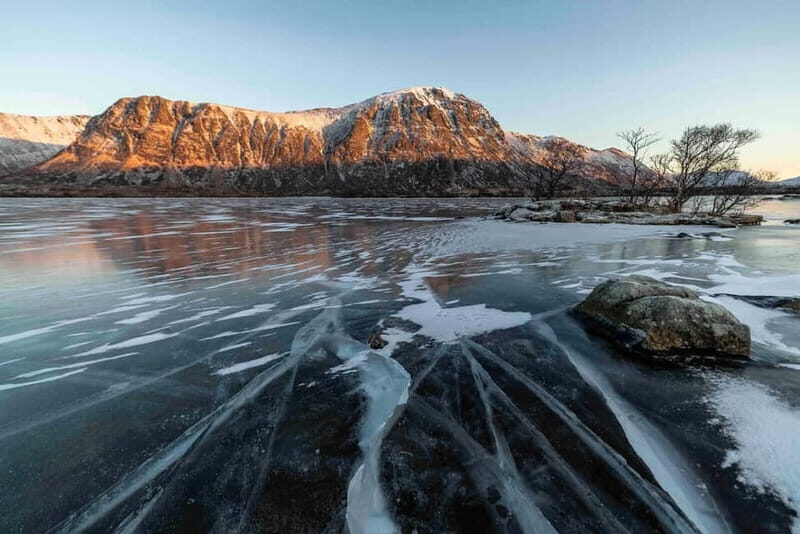 Lofoten: Half-Day Guided Tour with Photo Stops - Final Thoughts: Why You Should Consider This Tour