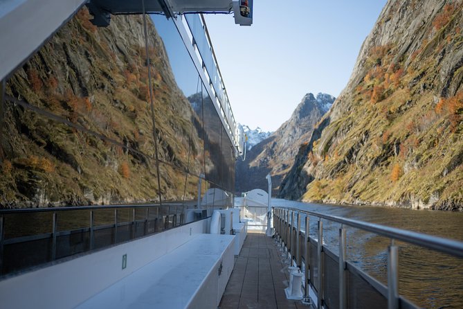 Lofoten Island: Silent Trollfjord Cruise from Svolvær - The Value and Pricing