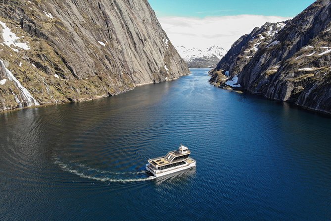 Lofoten Island: Silent Trollfjord Cruise from Svolvær - The Sum Up