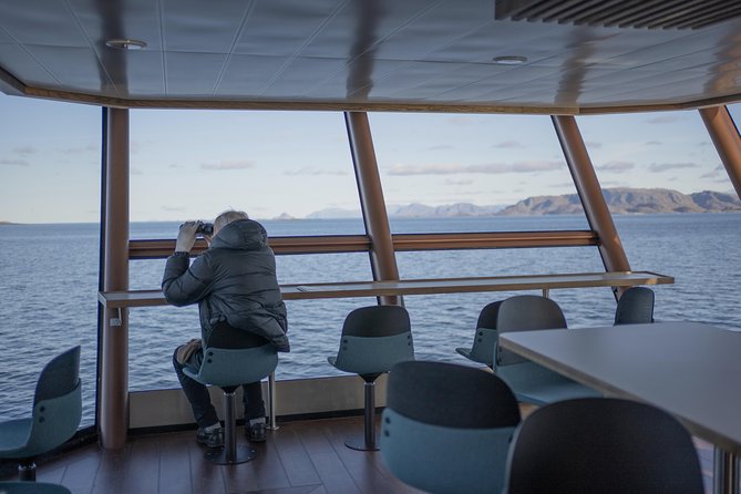 Lofoten Island: Silent Trollfjord Cruise from Svolvær - FAQ