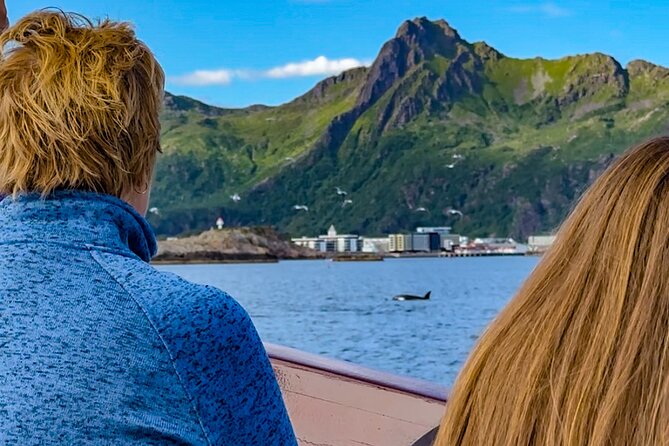 Lofoten Islands Luxury Midnight Sun Sail From Svolvær - Key Points