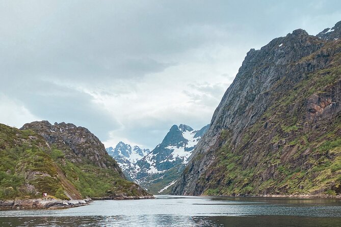 Lofoten Islands Luxury Trollfjord Cruise With Lunch From Svolvær - Meeting Point and Transportation