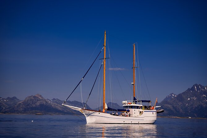 Lofoten Islands Luxury Trollfjord Cruise With Lunch From Svolvær - Cancellation Policy and Pricing