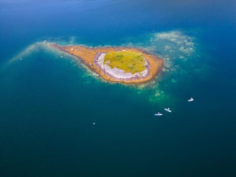 Lofoten Islands: SUP Adventure - Guided Tour - Key Points