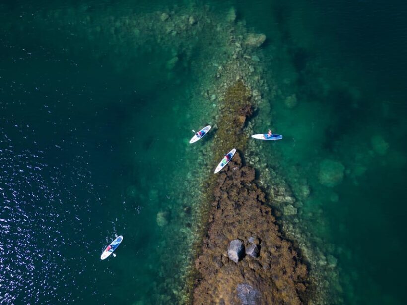 Lofoten Islands: SUP Adventure - Guided Tour - Final Thoughts: Is It Worth It?