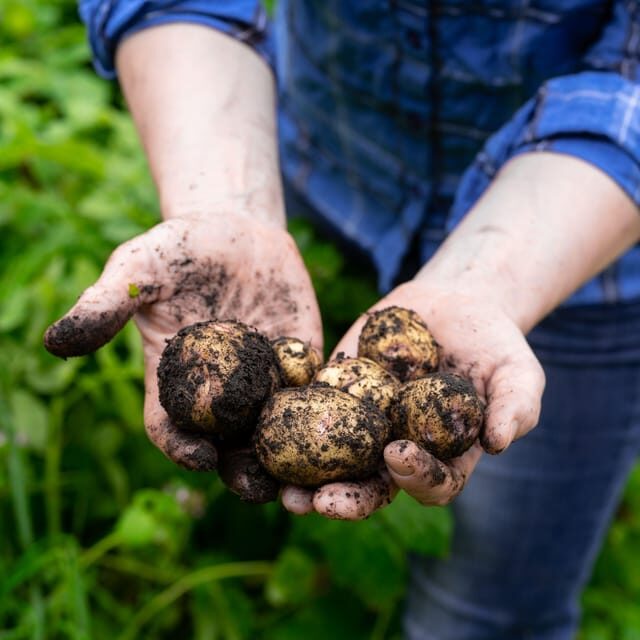 Lofoten (Stamsund and Leknes): Aimees Farm Experience - The Perfect Audience for This Experience