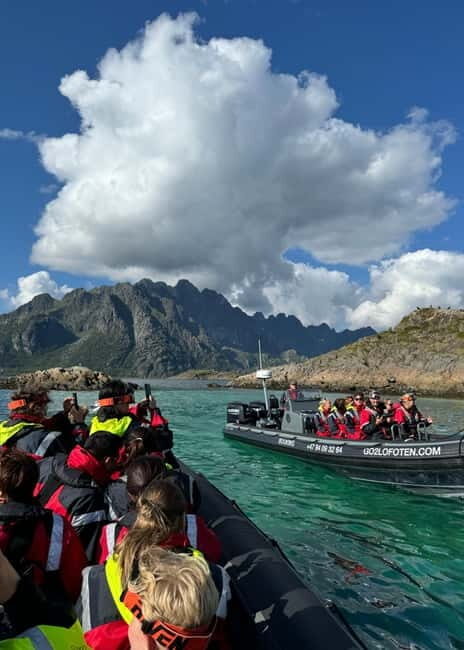 Lofoten: Trollfjord Sea Eagle Safari by RIB Boat - Pricing and Value