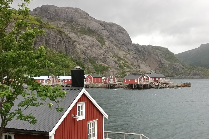 Lofoten VIP PRIVATE Tour From Leknes City / Port - Unique Offerings