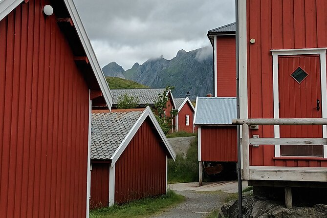 Lofoten VIP PRIVATE Tour From Leknes City / Port - Accessibility and Inclusions