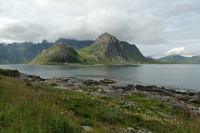 Lofoten VIP PRIVATE Tour From Leknes City / Port - Pricing and Group Booking