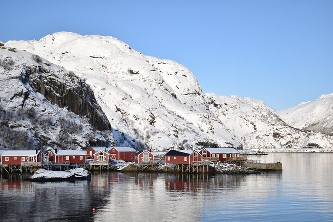 Lofoten VIP PRIVATE tour from Svolvaer - Who This Tour Is Best Suited For
