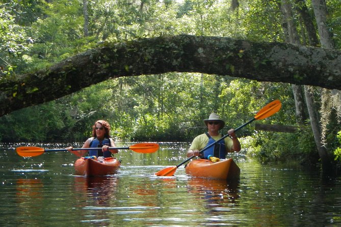 Lofton Creek Kayaking Trip with Professional Guide - Key Points