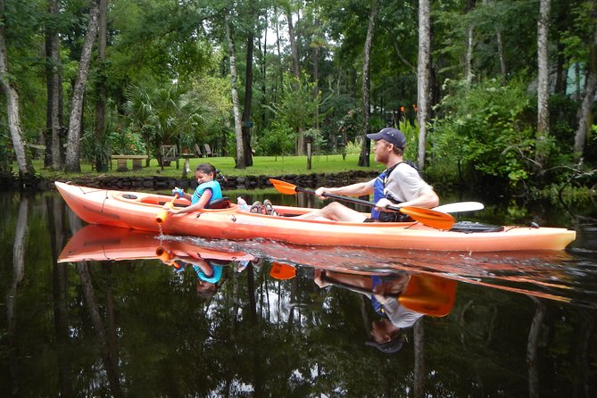 Lofton Creek Kayaking Trip with Professional Guide - The Itinerary: What to Expect