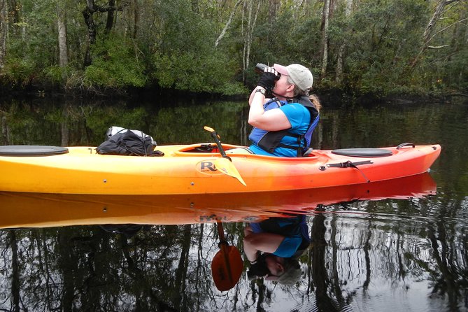 Lofton Creek Kayaking Trip with Professional Guide - What Our Reviewers Say