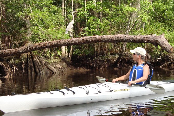 Lofton Creek Kayaking Trip with Professional Guide - The Value of the Experience