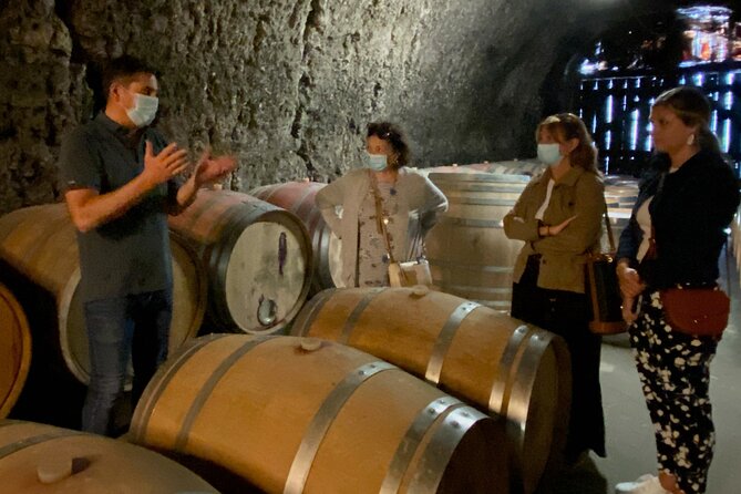 Loire Castles Chenonceau, Chambord & 2 Wineries Private Trip - What Travelers Say