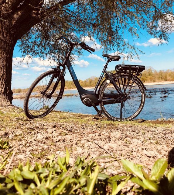 Loire castles with electric bicycle - Who Is This Tour Best For?