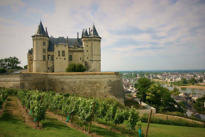 Loire Valley Castles and Wineries Private VIP Day Trip with Lunch - A Deep Dive into the Loire Valley Private VIP Day Trip