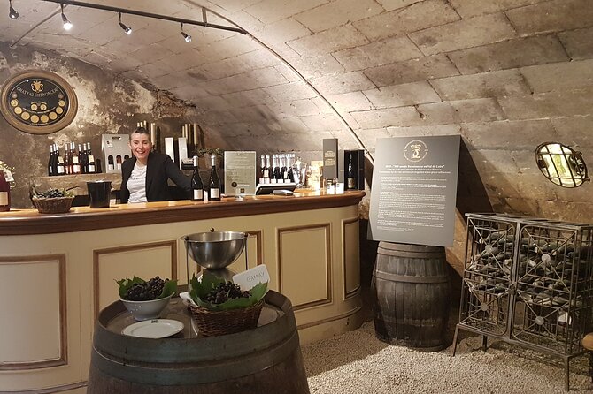 Loire Valley Castles Private Tour From Paris/skip-the-line ticket - Who Is This Tour Best For?