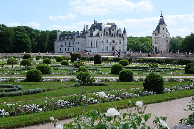 Loire Valley Castles VIP Private Tour: Chambord, Chenonceaux, Amboise - Customer Feedback and Reviews