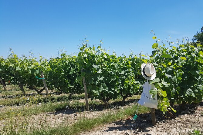 Loire Valley Day From Tours : Azay-Le-Rideau, Villandry, Winery - Traveler Reviews