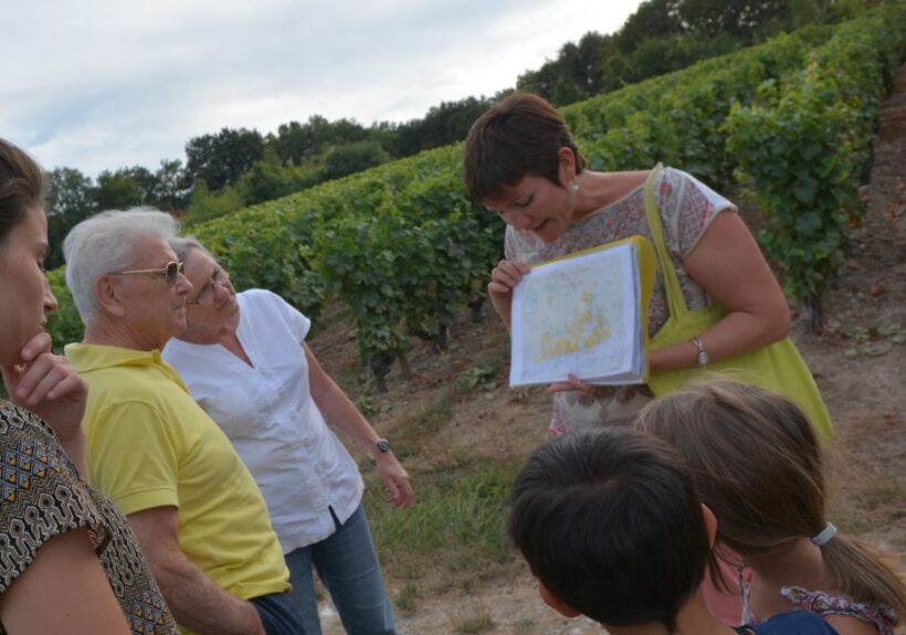 Loire Valley: Vouvray Vineyard Tour and Wine Tasting - Introduction: Why We Think This Tour is Worth Your Time