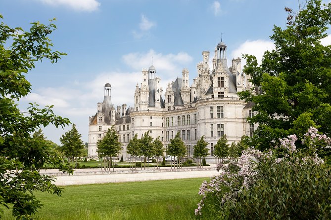 Loire Valley Wines and Castle Small Group Day Trip From Paris - Lunch and Wine Pairings