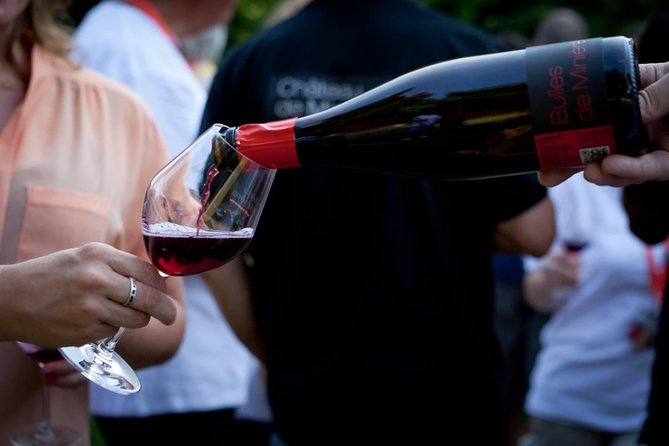 Loire Valley Wines Private Day Tour with Tastings from Tours or Amboise - Who Is This Tour Best For?