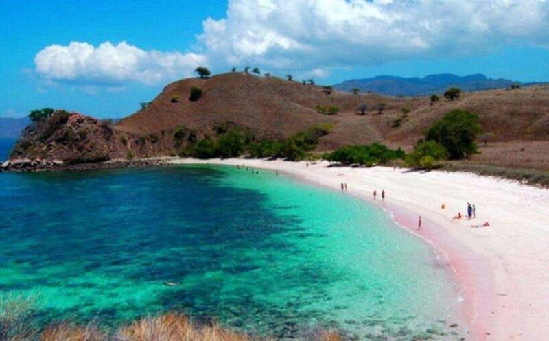 Lombok: 1-Day Pink Beach Tour in East Lombok - Analysis of the Tour’s Value