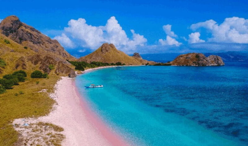 Lombok: 1-Day Pink Beach Tour in East Lombok - FAQ