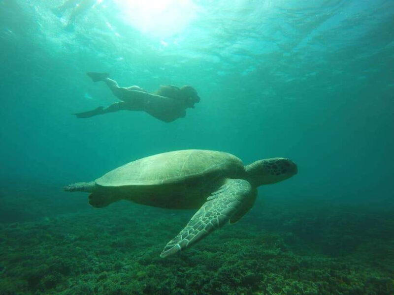 Lombok: 4-Day Sea Nomad Adventure to Labuan Bajo - Key Points